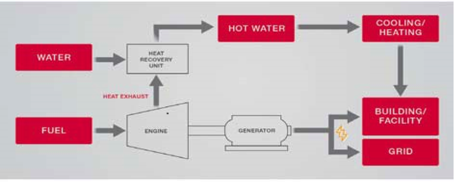 Kentfield Residential Project Strives for Building Performance with CoGen